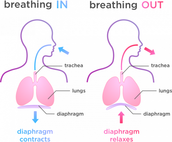 Science of Mindwell - Mindwell